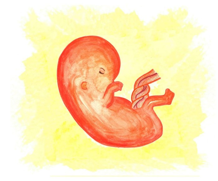 6 semanas de embarazo - ¡Vivan las siestas!